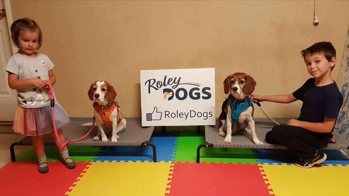Do you know where Roley Dogs came from?